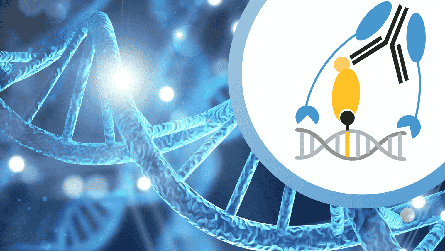 A Cost-Effective Breakthrough in Genome-Wide DNA Methylation Sequencing ... A Cost-Effective Breakthrough in Genome-Wide DNA Methylation Sequencing ...